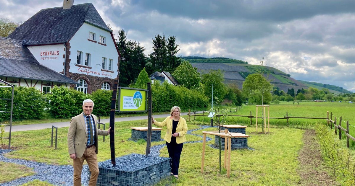 Ruwer-Riesling-Erlebnisweg ist eröffnet! | VG Ruwer